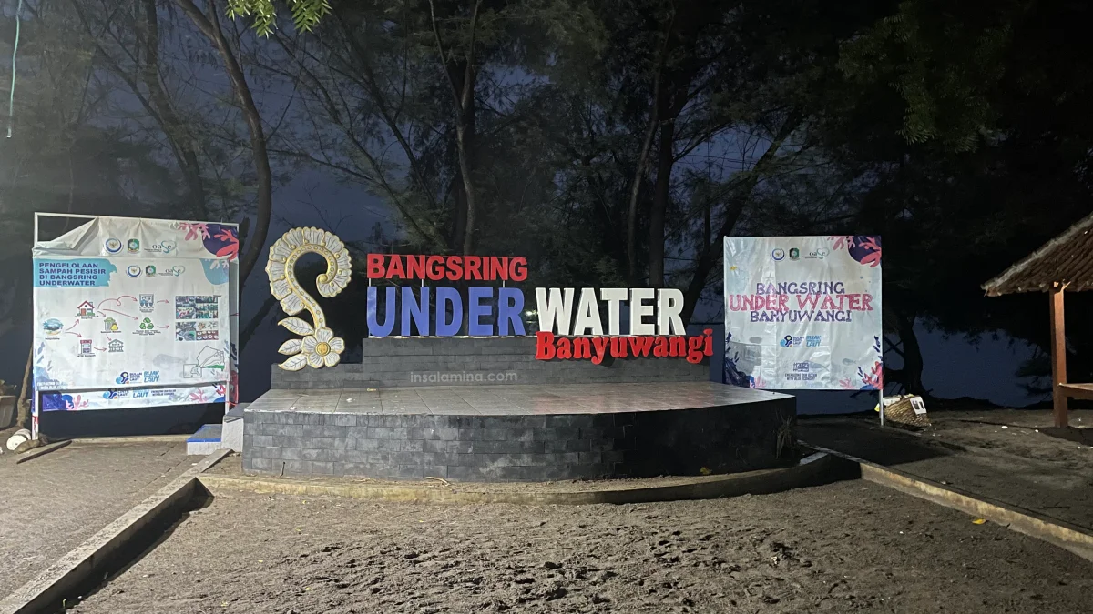 Snorkeling Murah di Bangsring Underwater